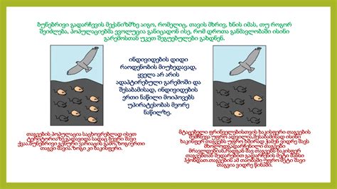 ბილოგიაში ბუნებრივი გადარჩევა Pptx