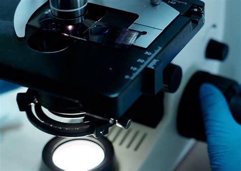 Read More About Our Services In Material Analysis Newdealseals