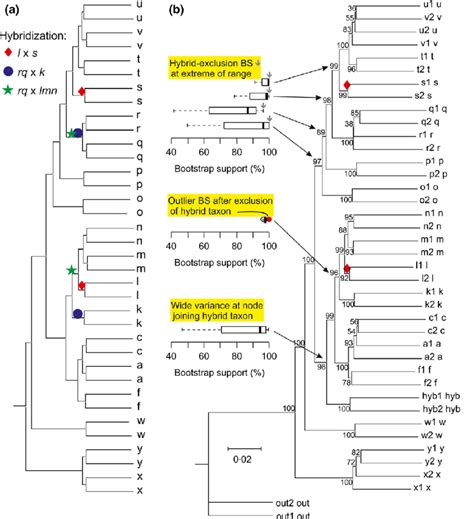 a tree topology used to simulate aflp and snp data sets simulations