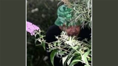 The Sex Tape Youtube