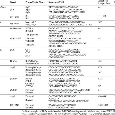 Primers And Probes Used For Molecular Analysis Of Tick Borne Pathogens Download Scientific