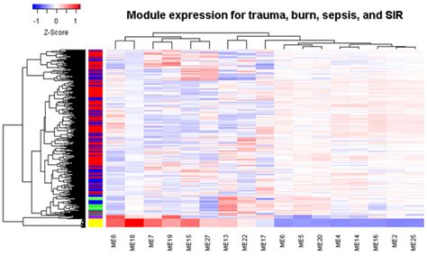Module Expression Clustering Heat Map Shows The Different Expression