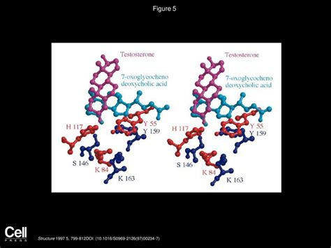 Volume 5 Issue 6 Pages June 1997 Ppt Download
