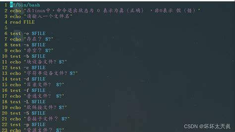 Shell的测试语句shell脚本中的文件测试语句 Csdn博客