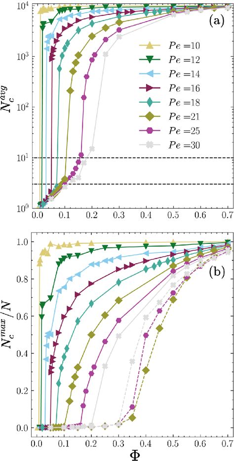 A Mean Cluster Size Averaged In Time N Avg C And B Ratio Of The