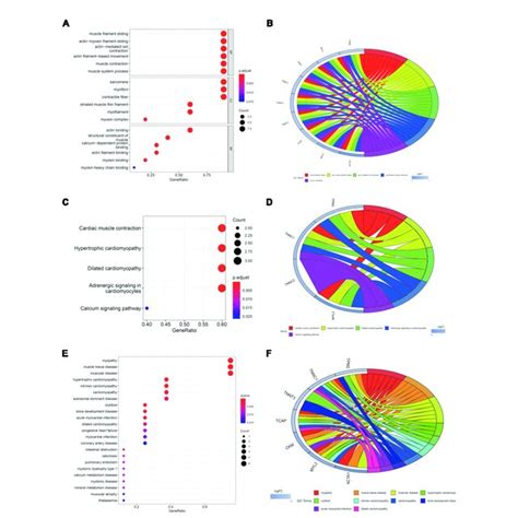 Profile And Visualization Of Immune Cell Infiltration A The
