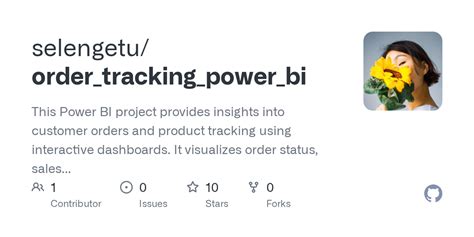 Github Selengetuordertrackingpowerbi This Power Bi Project