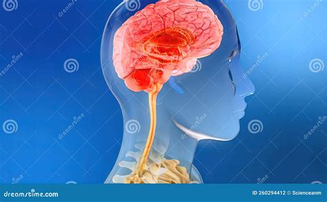 sacral nerve stimulation also known as sacral neuromodulation stock