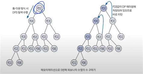 동적 계획법dp