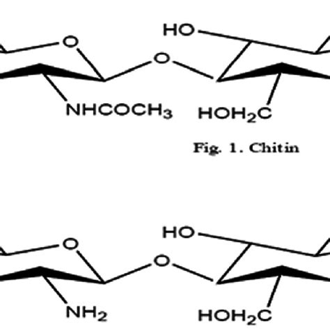 Chemical Structure Of Chitin Download Scientific Diagram
