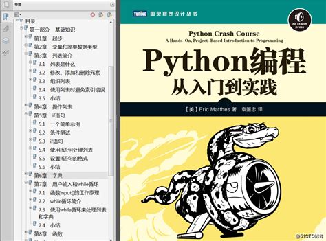 分享 《python编程从入门到实践》pdf源码ericmatthes袁国忠