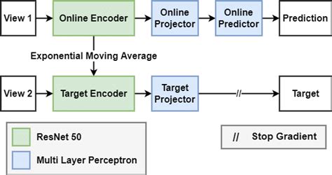 Architecture Of Sketch Byol It Has Two Encoders Based On A Resnet50 Download Scientific