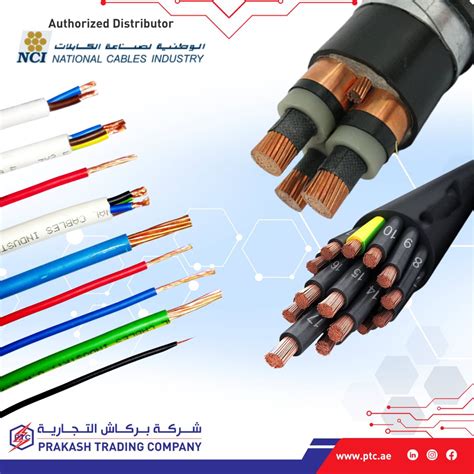 Nafeesa Shaikh Posted On Linkedin