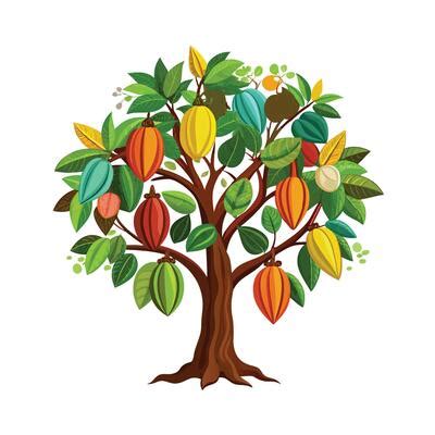 Cocoa Tree Vector Art Icons And Graphics For Free Download