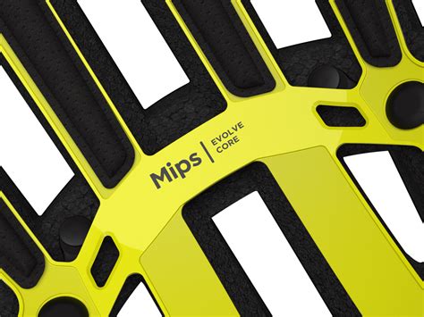 Mips Evolve Core Mips