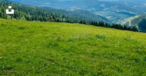 낮에는 푸른 하늘과 흰 구름 아래 푸른 나무와 산 근처의 푸른 잔디 밭 사진 Unsplash의 무료 파랑 이미지