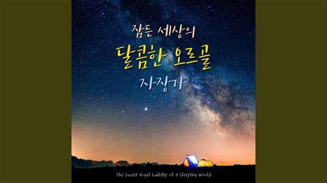 예쁜 아기 곰 예쁜 아기 곰 Youtube