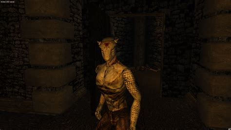 Morrowind Character Creation Mod Bestjfiles