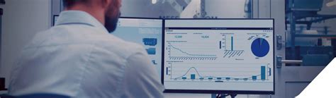 Data Analyst And Report Auravina