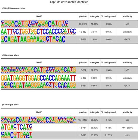 Figures And Data In Dissecting The Dna Binding Landscape And Gene