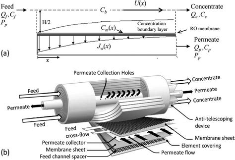 A Cross Flow Reverse Osmosis In A Membrane Channel Q And C And P Download Scientific
