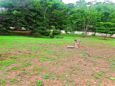 Deepest Cut Babe Plants Nurtures Tree Axe Doesnt Care