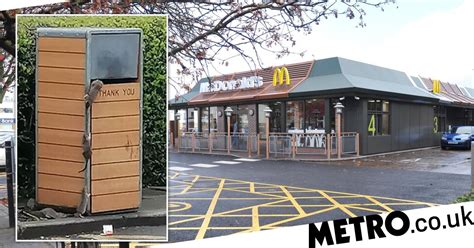 Horrified Customer Spots Seven Rats In The Bins At Hull Mcdonalds