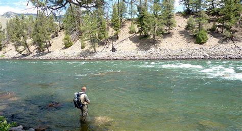 Fishing The Yellowstone River In Yellowstone National Park Livingston