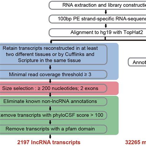 Transcriptome Profile Of RNA Seq Data Distinguishing Three Groups A Download Scientific