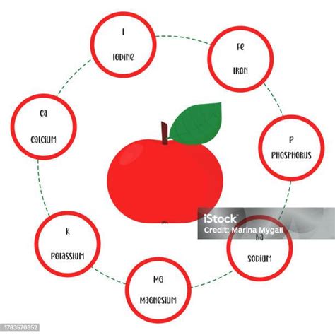 사과의 비타민과 미네랄 사과 과일의 영양소에 대한 인포그래픽 사과 비타민에 대한 고품질 벡터 일러스트 레이 션 건강한 식생활에 대한 스톡 벡터 아트 및 기타 이미지 Istock