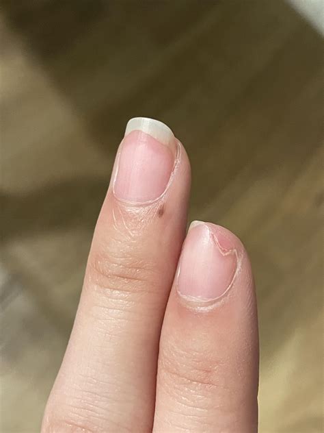 I Really Want To Do Gel Tips For My Holiday Nails But I Recently