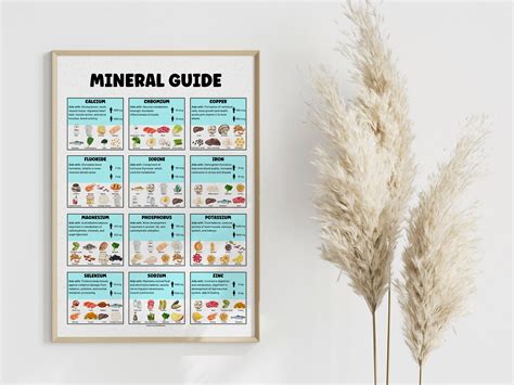 Mineral Guide Mineral Reference Chart Nutrition Information Chart For Kitchen Wall Art Mineral