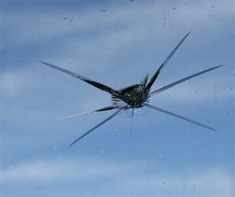 Most Common Types Of Windshield Cracks Windshield Replacement And Repair