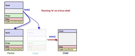 Linux Processes And Signals 2018