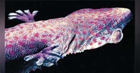 Reverse Engineering Machine Design