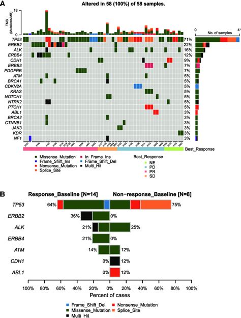 The 108 Gene Panel Analysis Results Of Ace Gastric 01 A The Oncoplot