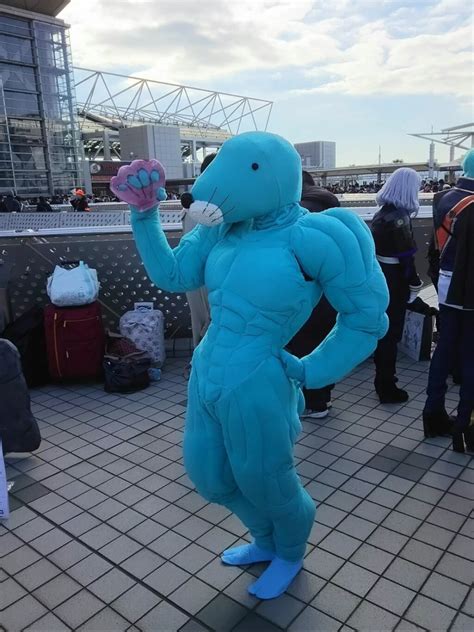 보노보노 포로리야~ 놀자~~ 백업 유머 게시판 2015 2017