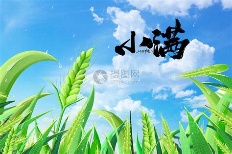 小满图片素材 正版创意图片402163884 摄图网