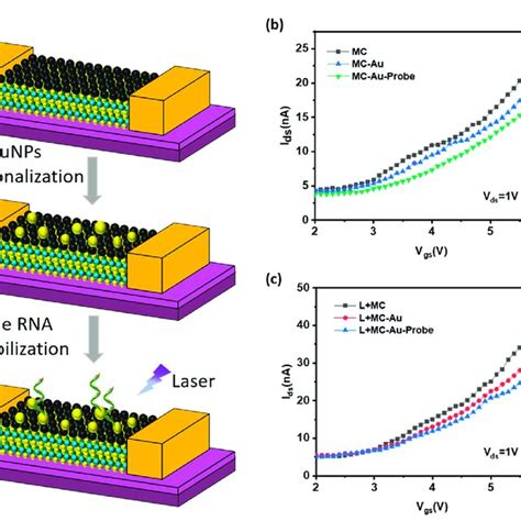 A Preparation Steps Of Fet Biological Detection Platform Hot Download Scientific Diagram
