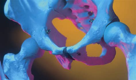 Scientists Stopped From Giving Importance Of Biological Sex Talk Us News Express Co Uk