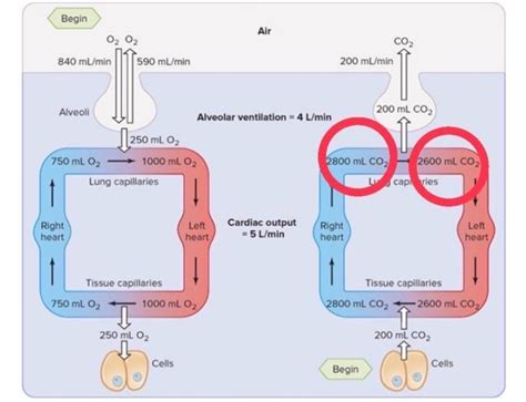 Solved How To Determine The Two Values Marked On The Chegg Com
