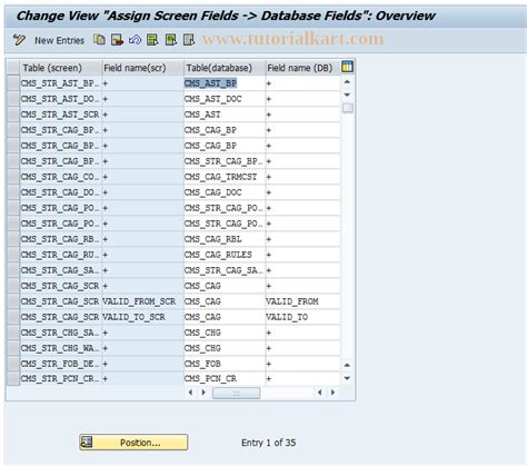 CMS CUS BDT 011 SAP Tcode CMS Control Asn Scrn Fld Dbase Fld