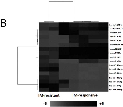 Mirna Microarray Expression Profile And Cluster Analysis Of Download Scientific Diagram