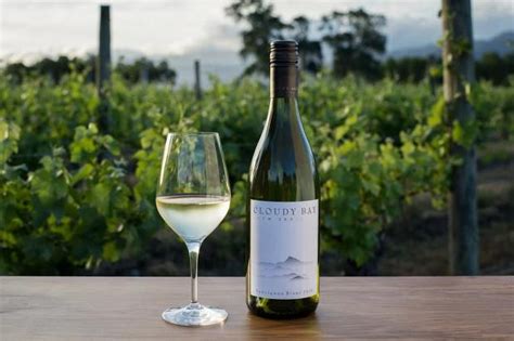 와인과 친해지기 클라우디 베이 테코코 뉴질랜드 화이트와인