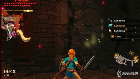 《塞尔达无双 灾厄启示录》海拉鲁城堡防卫战 克洛格的果实的位置 3楼猫