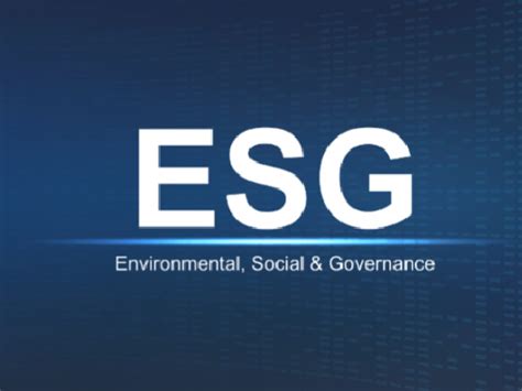 全球资本市场与esg实践——来自纽交所的观察与思考新浪财经新浪网