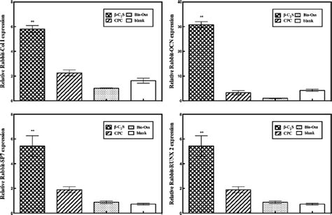 Collagen I Ocn Sp7 Runx2 Mrna Expression By Real Time Pcr Of Four