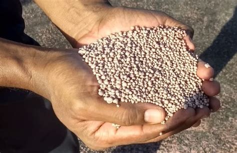See The Subsidy Rates Cabinet Has Approved Today For Pandk Fertilisers Under Nutrient Based