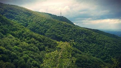 Пускат автобусите до Витоша от 1 юни — Offnews