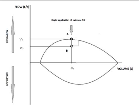 Theoretical Flow Volume Curve During Application Of Rapid Extrinsic Download Scientific Diagram
